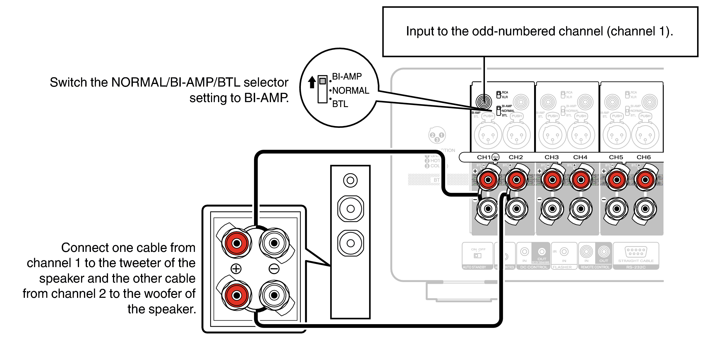 Bi-amp connection AMP 20